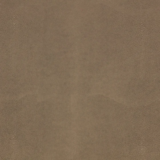 Kirkby Design Shagreen K5357 Asteroid/04 | James Dunlop Textiles